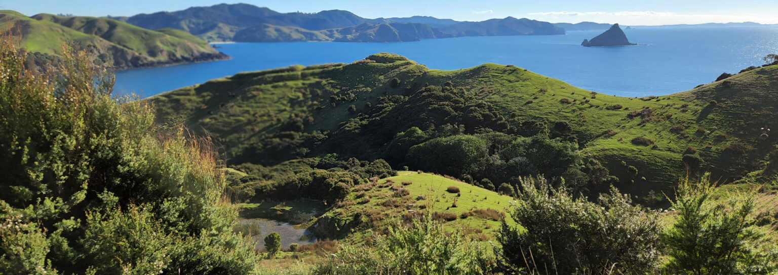 Ecological Solutions